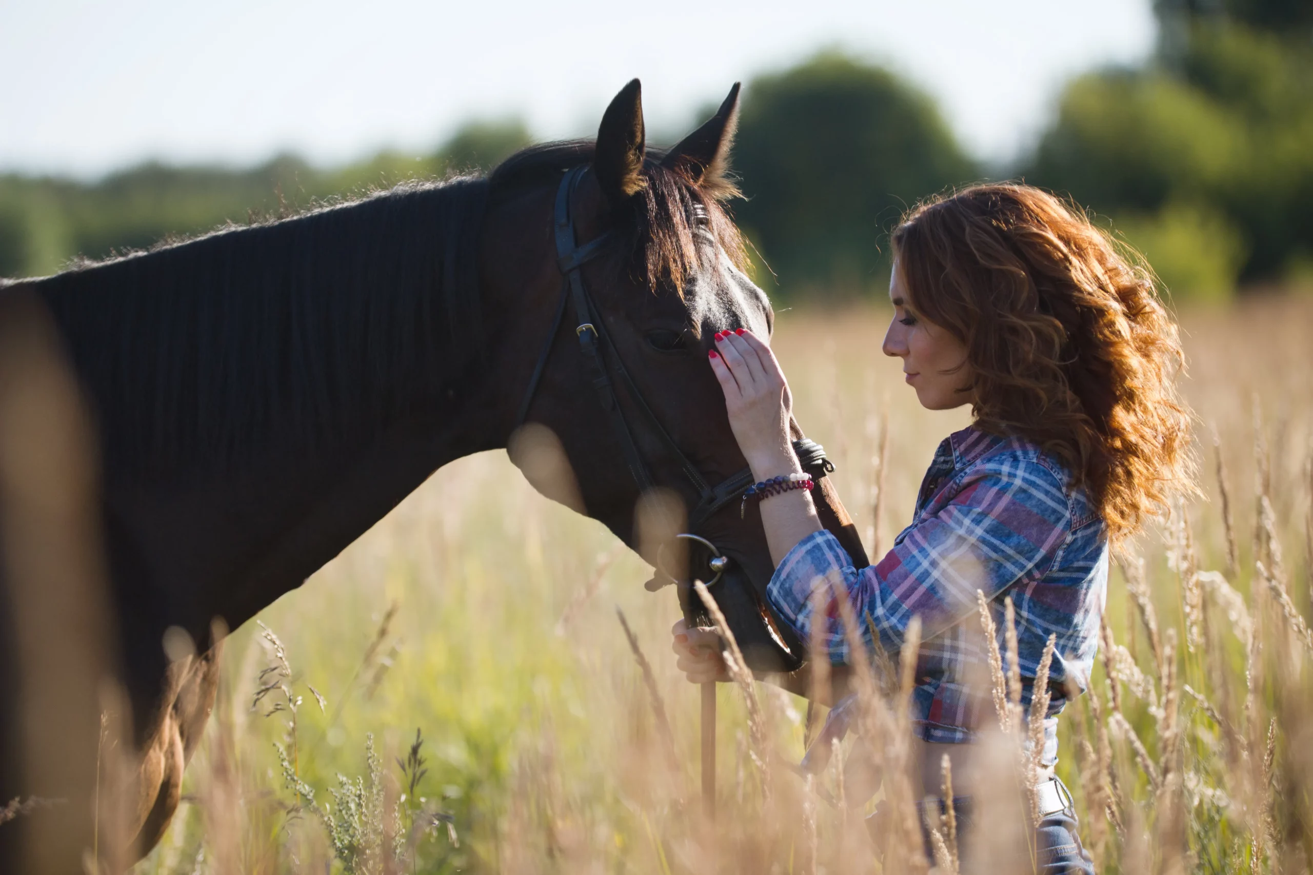 Preguntas a la hora de comprar un caballo